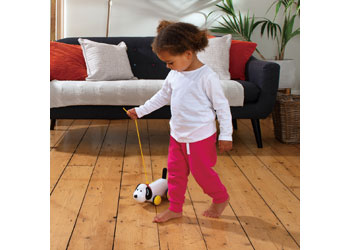 Ambi – Max Pull Along Dog - MTA Catalogue