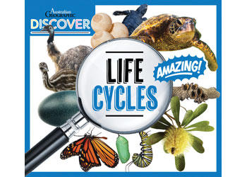 Discover: Life Cycles - MTA Catalogue