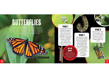 Discover: Life Cycles - MTA Catalogue