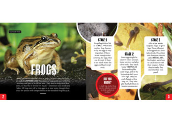 Discover: Life Cycles - MTA Catalogue