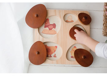 Early Years Life Cycle Kit - MTA Catalogue