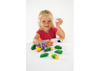 Early Years Life Cycle Kit - MTA Catalogue