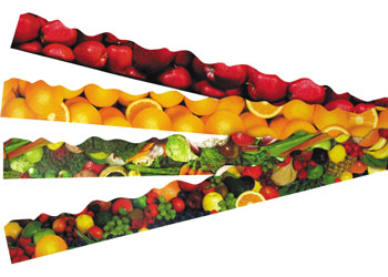 Discovery Healthy Eating Border Pack - MTA Catalogue