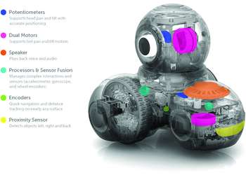 Wonder Workshop Cue Robot – Set of 12 Cue Robots - MTA Catalogue