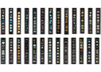 Bio Viewer Complete Slide Set - MTA Catalogue