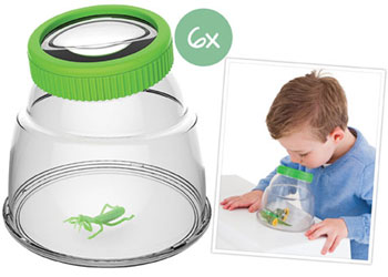 Giant Bug Viewer – Set of 6 - MTA Catalogue