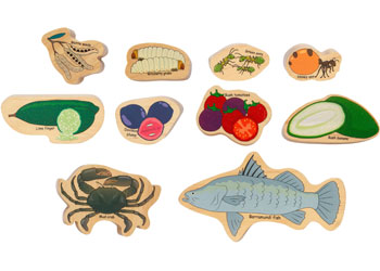 Indigenous Bush Tucker - MTA Catalogue