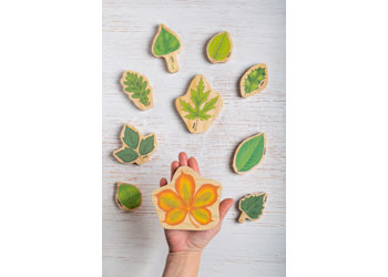 Stacking Leaves – 10 pieces - MTA Catalogue