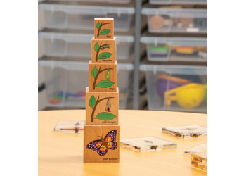 Life Cycle Blocks - MTA Catalogue