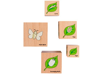 Life Cycle Blocks - MTA Catalogue