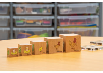 Life Cycle Blocks - MTA Catalogue