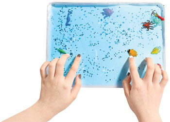 Teachables – Ocean Animal Sensory Pads – 4 pieces - MTA Catalogue