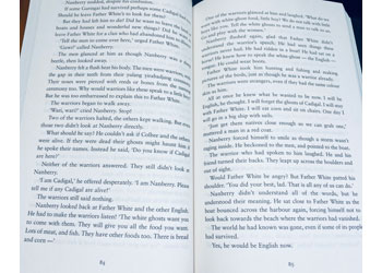 Nanberry: Black Brother White - MTA Catalogue