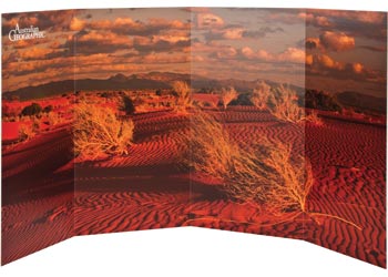 Desert Discovery Background - MTA Catalogue