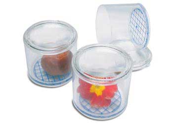 Invicta Bug Pots Set of 10 - MTA Catalogue