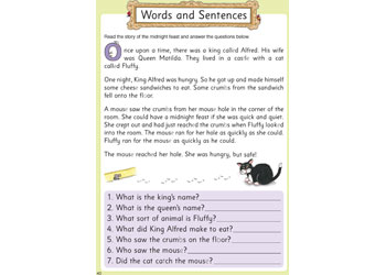 Jolly Phonics Pupil Book 3 Kit Print - MTA Catalogue