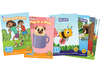 Decodable Big Books Set of 6 – Fiction - MTA Catalogue