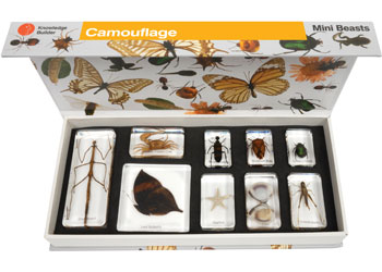 Camouflage Mini Beasts Set - MTA Catalogue