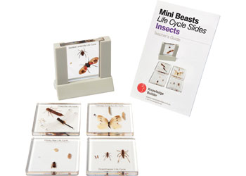 Mini Beast Life Cycles Slides & Viewer – Insects - MTA Catalogue