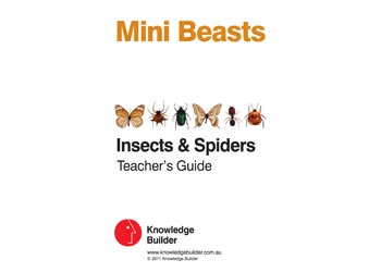 Mini Beasts Insects and Spiders – Small Set - MTA Catalogue
