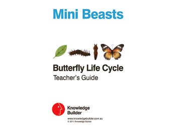Mini Beasts Butterfly Life Cycle - MTA Catalogue