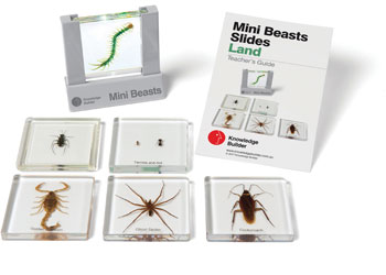 LAND Mini Beast Slides & Viewer - MTA Catalogue