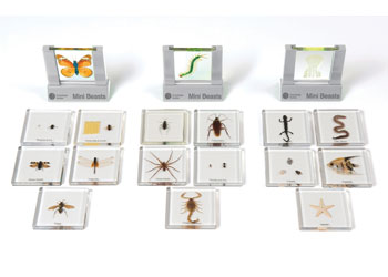 Mini Beast Viewer Kit - MTA Catalogue