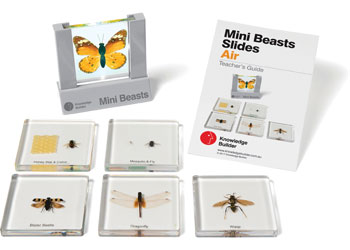 Mini Beast Viewer Kit - MTA Catalogue