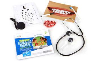 Head-to-Toe Human Body Science Lab - MTA Catalogue