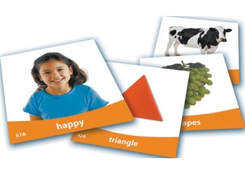 Basic Vocab Photo Cards Set – 156 cards - MTA Catalogue