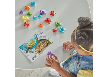 Tactile Turtles Math Activity - MTA Catalogue
