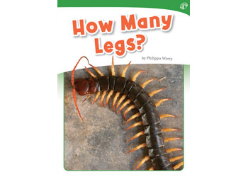How Many Legs? - MTA Catalogue
