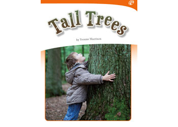 Tall Trees - MTA Catalogue