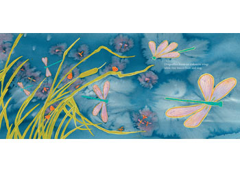 Big Fella Rain - MTA Catalogue