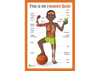 Healthy Body Book & Poster - MTA Catalogue