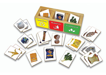 Environment & Sustainability Kit - MTA Catalogue