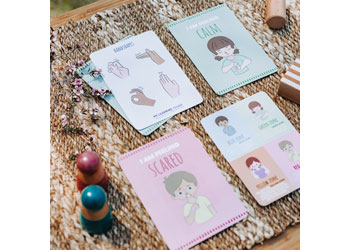 My Zones of Feelings Auslan Edition - MTA Catalogue