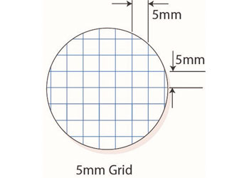 Protext Grid Book A4 5 mm 96p - MTA Catalogue