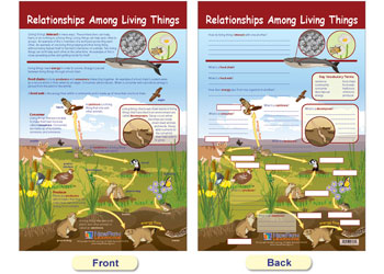 Ecology Bulletin Board Chart Set of 3 - MTA Catalogue