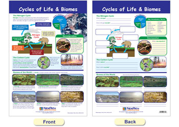Ecology Bulletin Board Chart Set of 3 - MTA Catalogue