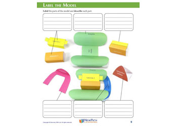 Enzymes Model Making Kit - MTA Catalogue