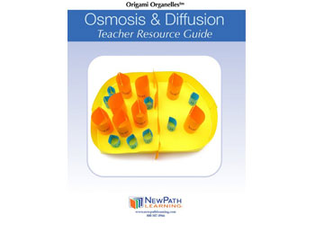 Osmosis & Diffusion Model Making Kit - MTA Catalogue