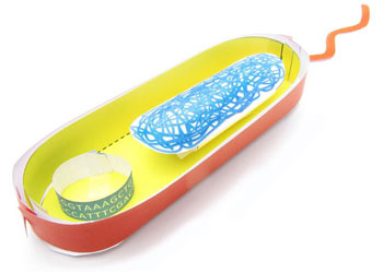 Simple Bacterial Cell Model Making Kit - MTA Catalogue