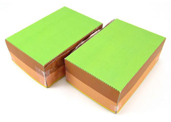 Tectonic Plates Model Making Kit - MTA Catalogue