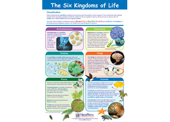 Life On Earth Poster Set of 6 Laminated - MTA Catalogue