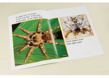 Spinning A Web Big Book - MTA Catalogue