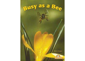 Busy As A Bee Big Book - MTA Catalogue