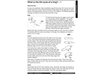 Australian Curriculum Science – Year 4 9-10 - MTA Catalogue