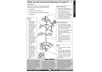 Australian Curriculum Science – Year 5 10-11 - MTA Catalogue