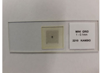 Minigrid Slide – Central Printed Area – 1cmx1cm - MTA Catalogue